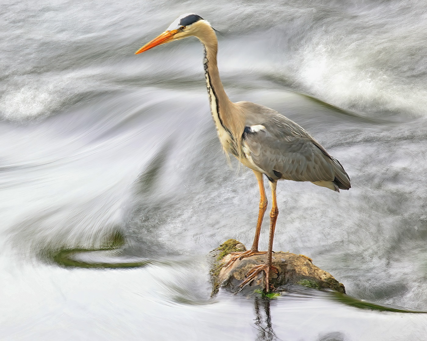 Wear Area Battle 2024 – Northern Counties Photographic Federation