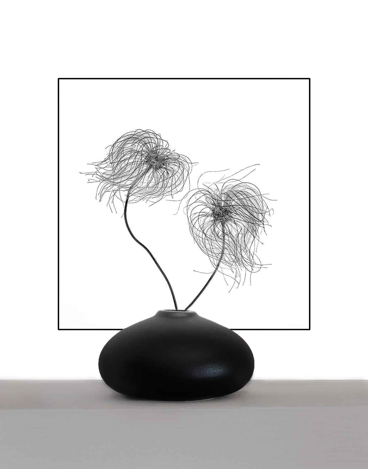 Northern Area Mono & Colour Print Competition – Northern Counties ...