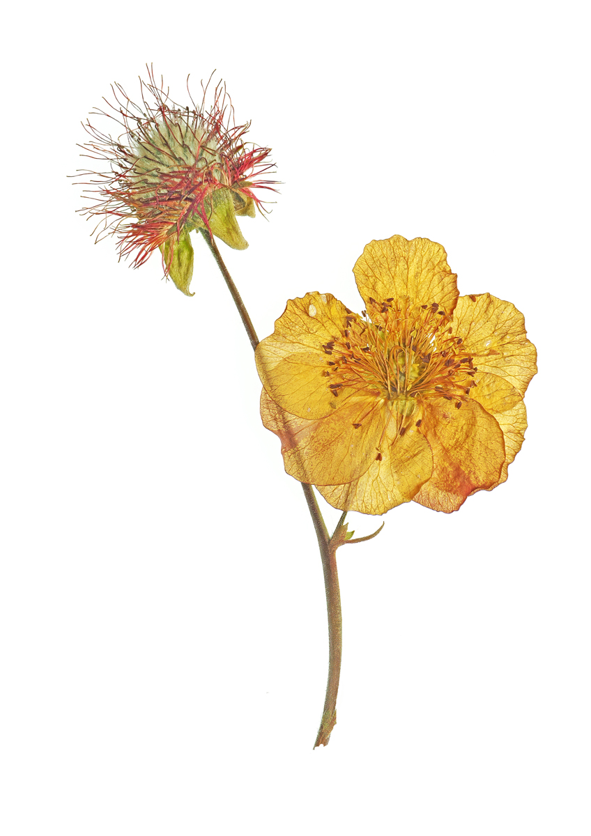 Northern Area Mono & Colour Print Competition – Northern Counties ...